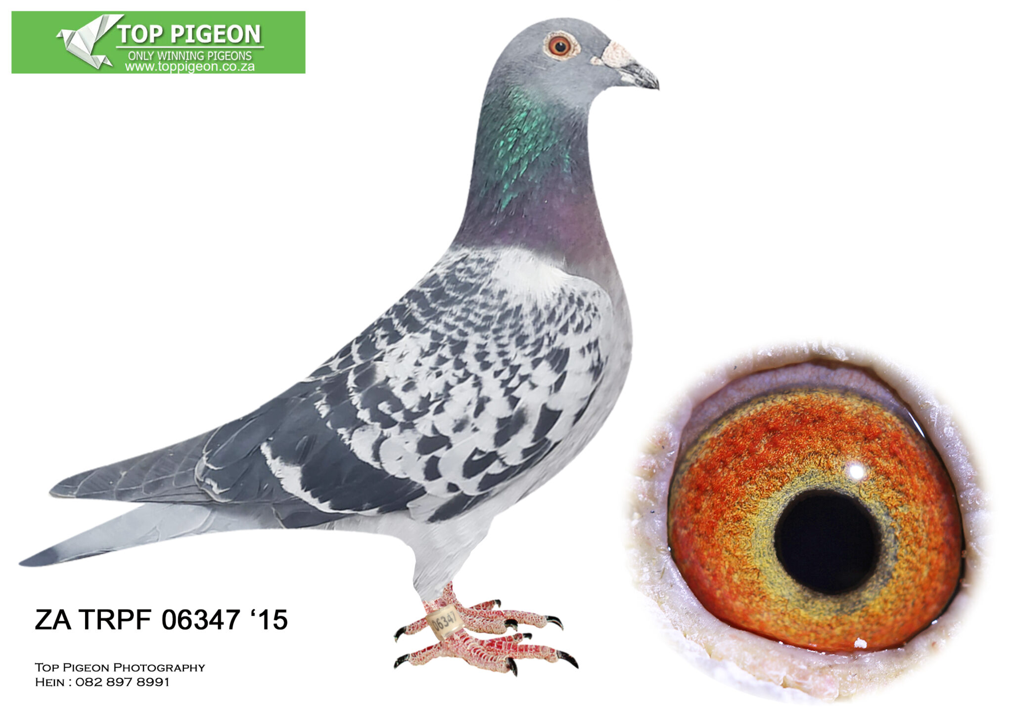 LOT 29 MCDERMOTT LOFTS AUCTION – ZA 15 TRPF 06347 CH – THIS IS A DAUGHTER OFF OUR CLICK TOM LOCK ...