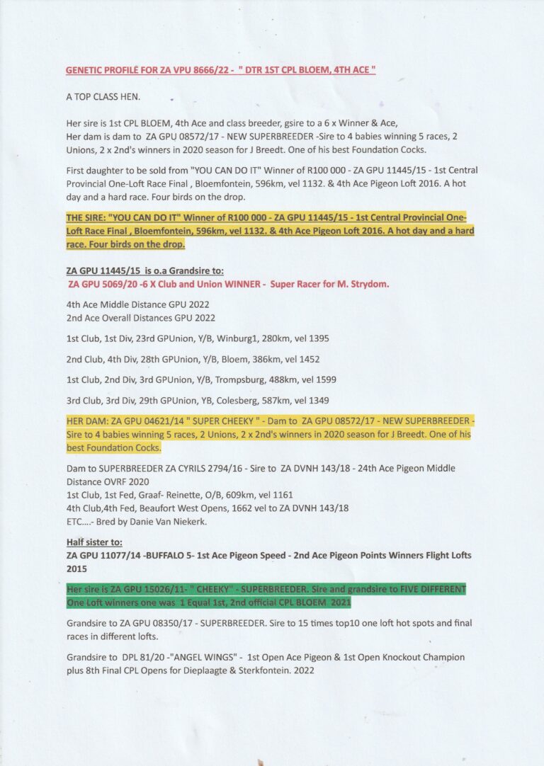 LOT 24 OUT OF AFRICA – ZA 22 VPU 8666 BB – SIRE : ZA 15 GPU 11445 “1ST BLOEM 4TH ACE” 1ST AND ...