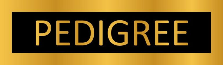 LOT 17 WINNERSFLIGHT OLR – ZA 22 NPS 1586 CHWF -STAN FARREN —SOETDORING ...