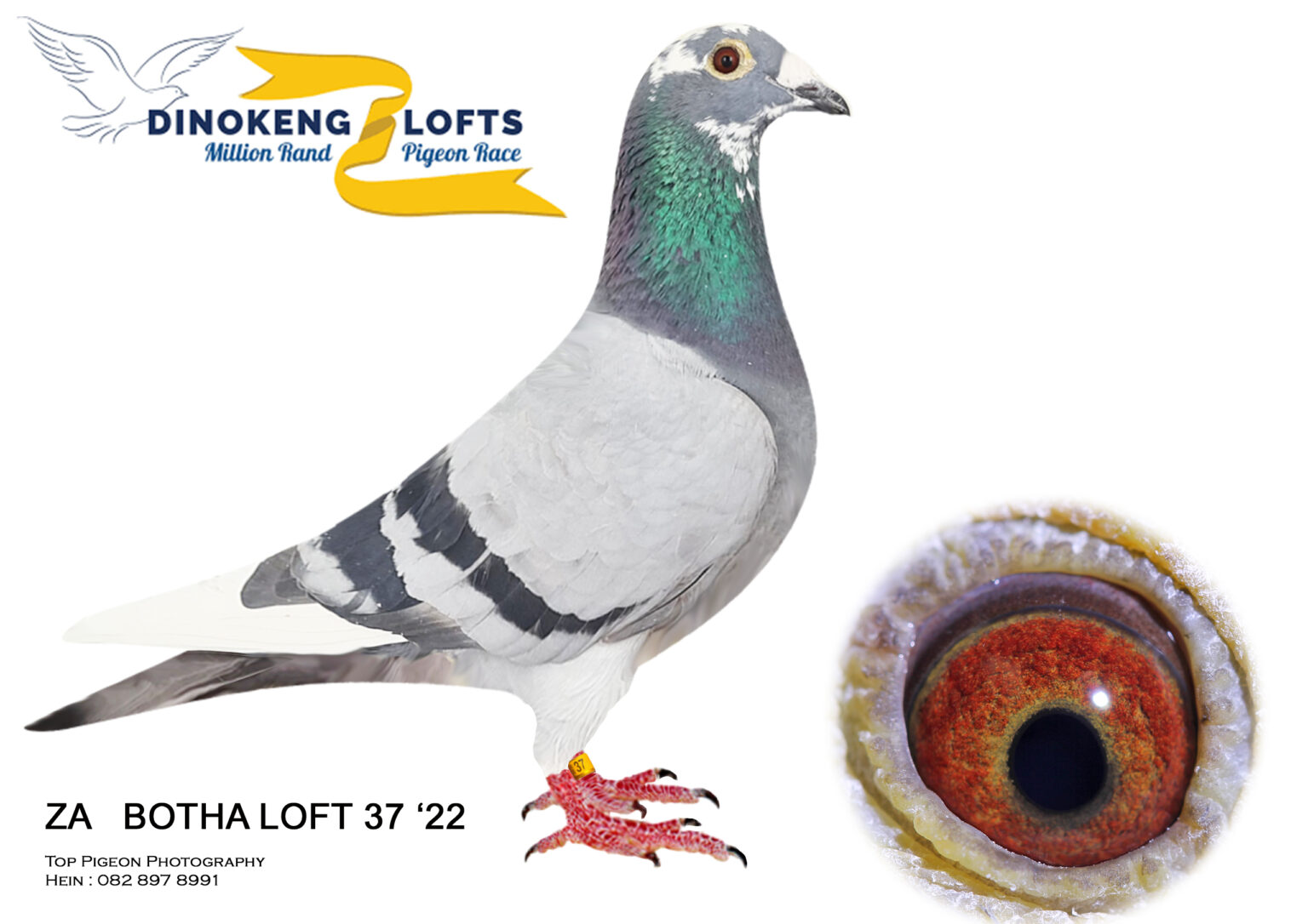 .LOT 2 BOTHA LOFTS – ZA 22 BOTHA LOFT 37 “LEAH” – 4TH RACE 6 (EQUAL WINNER) – WINNING R5000.00 ...