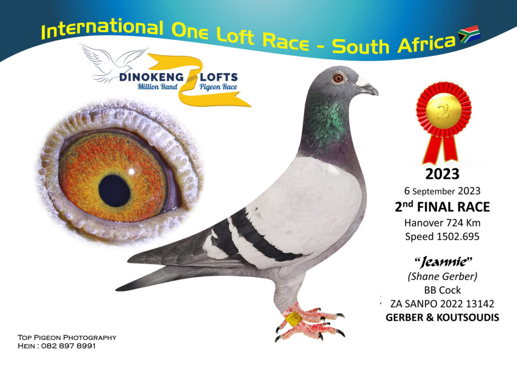 LOT 35 DINOKENG OLR – ZA 22 SANPO 13142 “JEANNIE” – GERBER & KOUTSOUDIS ...