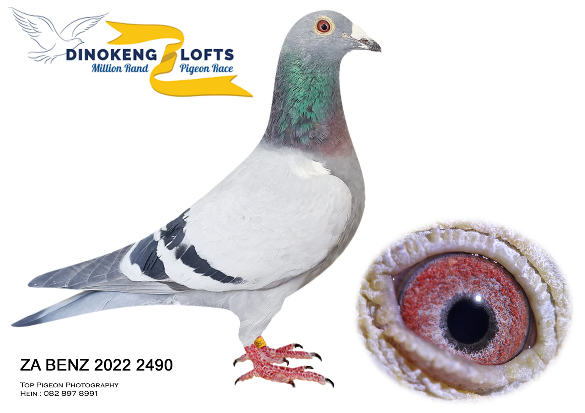 LOT 94 DINOKENG OLR –TEAM OLD BOYS SYNDICATE -ZA BENZ 2022 2490 ...