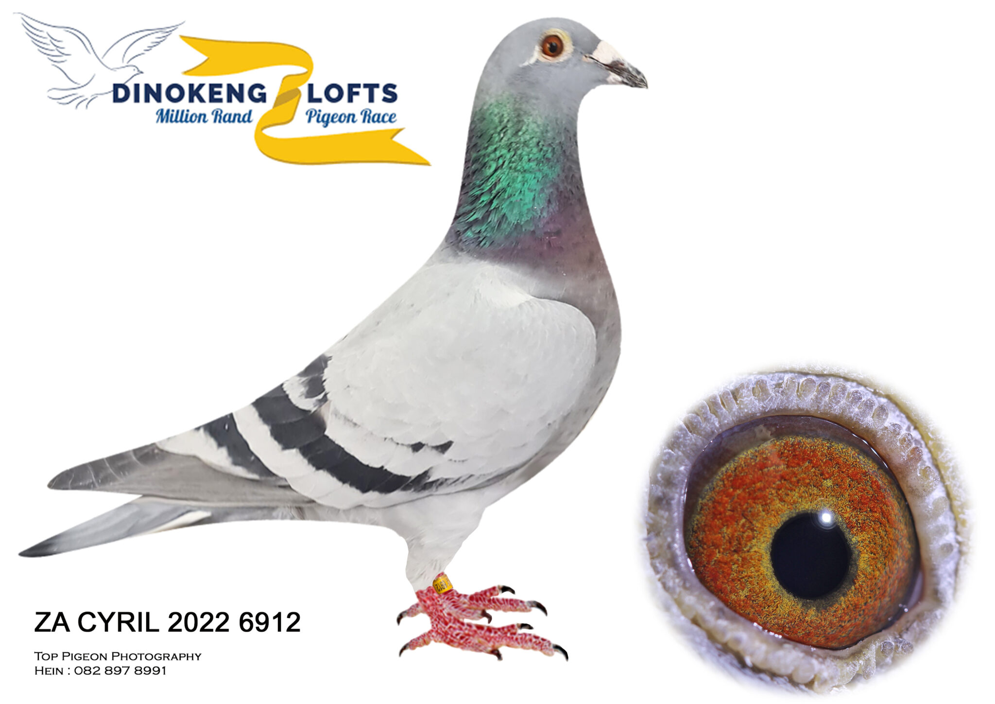 LOT 77 DINOKENG OLR –PHALA PHALA LOFTS – TEAM 1-ZA CYRIL 2022 6912 “BANDIT”