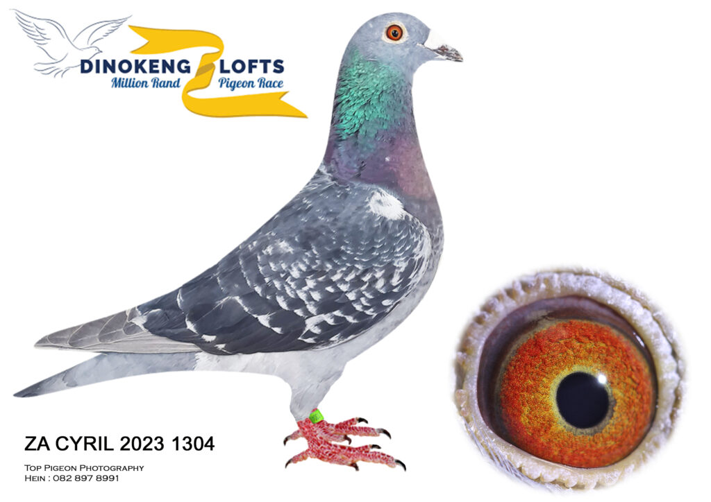 LOT 84 DINOKENG OLR –PHALA PHALA LOFTS – TEAM 2-ZA CYRIL 2023 1304- “ZODIAC” – 27TH RACE 7 ...