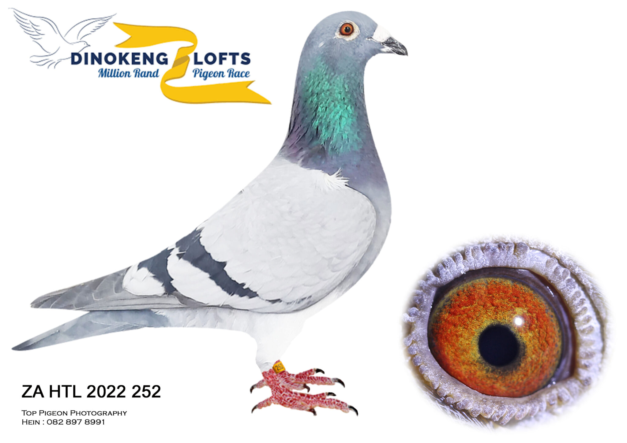 LOT 51 DINOKENG OLR – ZA 22 HTL 252 “HANNES 02” – TEAM FAR EAST