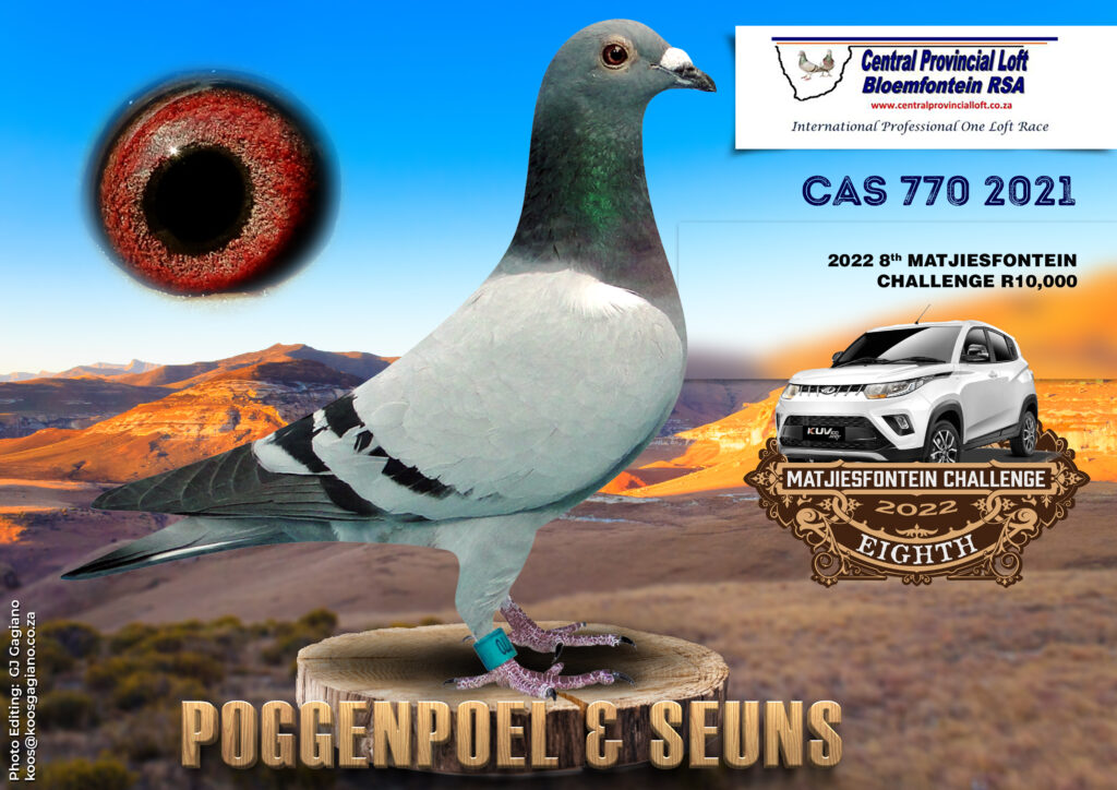 .LOT 74 CENTRAL LOFTS OLR AUCTION 3 -POGGENPOEL LOFTS – CAS 770 2021 ...