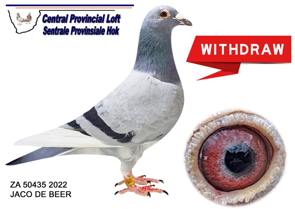 .LOT 77 CENTRAL LOFTS OLR AUCTION 3 -DE BEER, JACO – ZA 50435 2022 ...