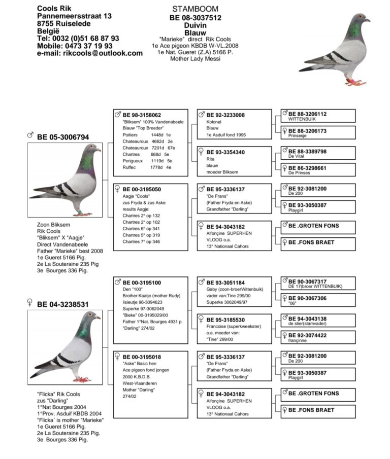 .LOT 1 FERDIE COETZER – ZA 21 OERL 78 BBPD – Super handling Vandenabeele hen . Granddaughter to ...