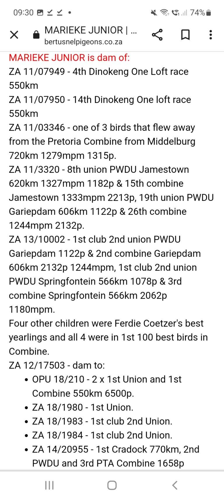 .LOT 1 FERDIE COETZER – ZA 21 OERL 78 BBPD – Super handling Vandenabeele hen . Granddaughter to ...