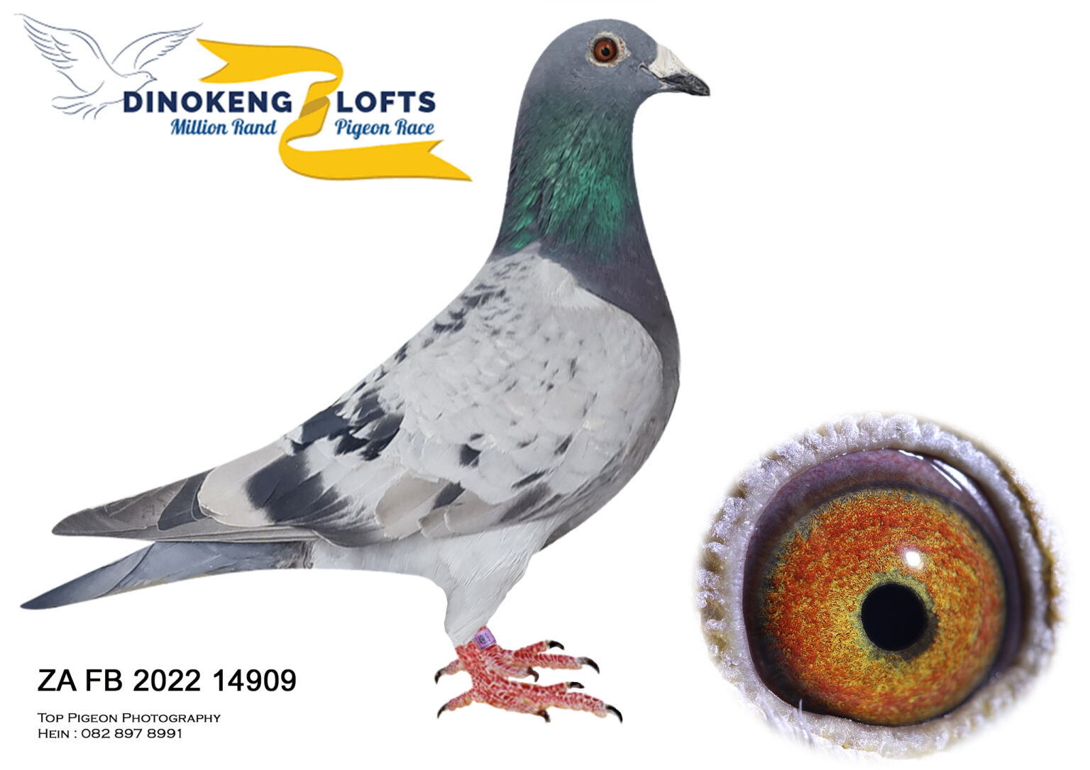 Lot 28 DINOKENG LOFTS AUCTION 2-KADER & NADIA AHMED/YAZEED/FRANS/TONI TEAM 1-ZA FB 22 14909 – NO ...