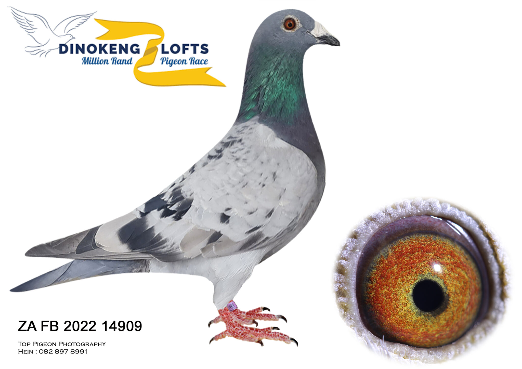 Lot 28 DINOKENG LOFTS AUCTION 2-KADER & NADIA AHMED/YAZEED/FRANS/TONI TEAM 1-ZA FB 22 14909 – NO ...