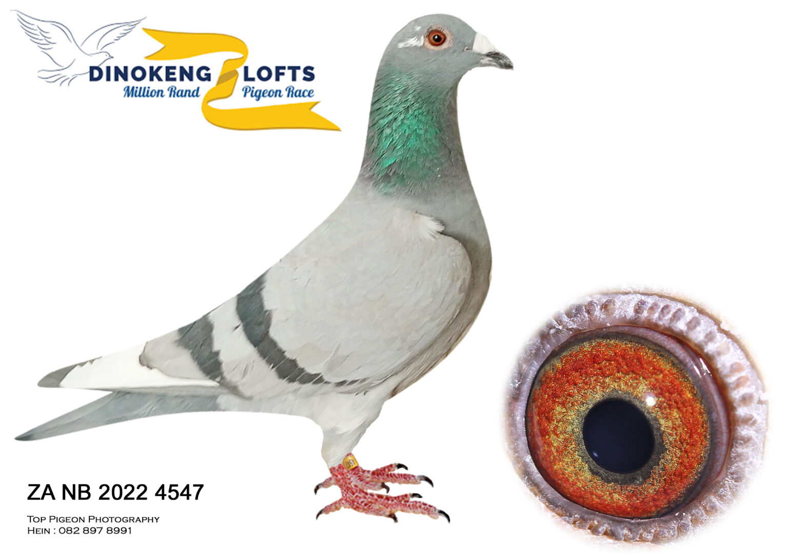 Lot 76 DINOKENG LOFTS AUCTION 2-KADER & NADIA AHMED/YAZEED?FRAND/TONI TEAM 1-ZA NB 22 4547 – NO ...