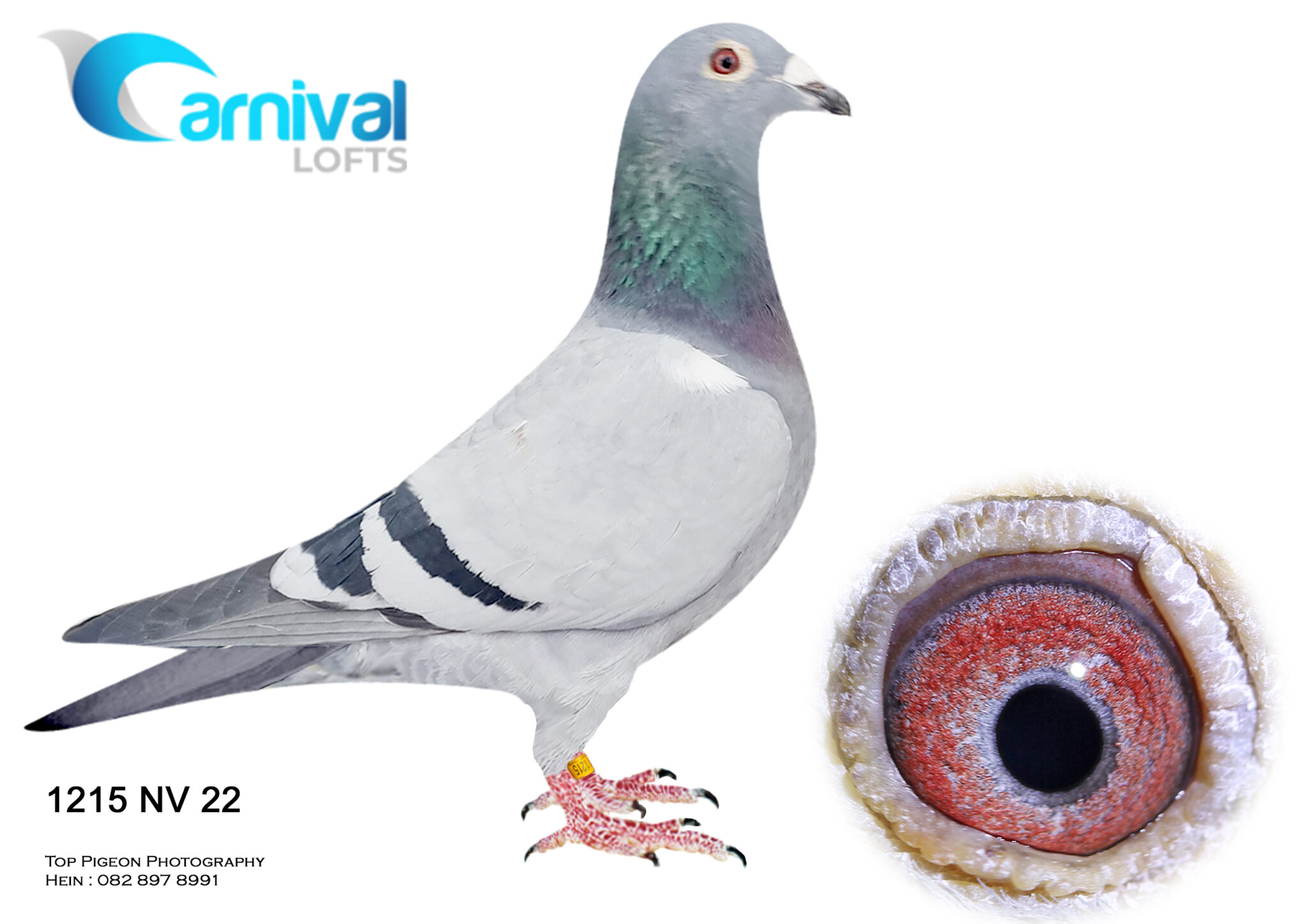 Lot 12 Carnival One Day Lofts-DIRK NORVAL-NV 22 1215 BBAR – 19TH FINAL ...