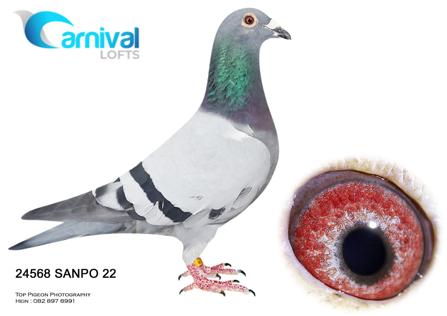 Lot 23 Carnival One Day Lofts-MARNES NEL-SANPO 22 24568 BBAR – 8TH ...