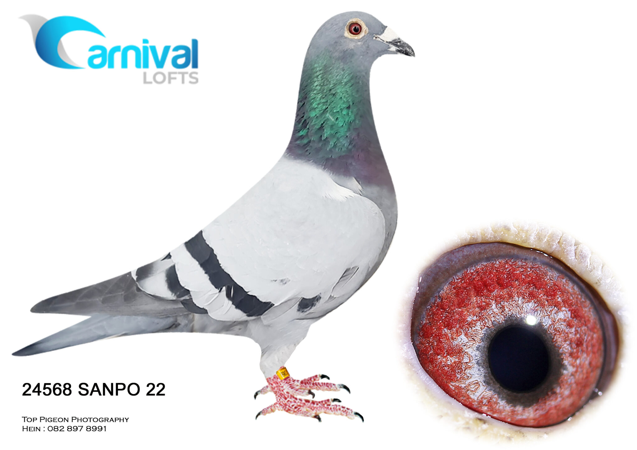 Lot 23 Carnival One Day Lofts-MARNES NEL-SANPO 22 24568 BBAR – 8TH ...