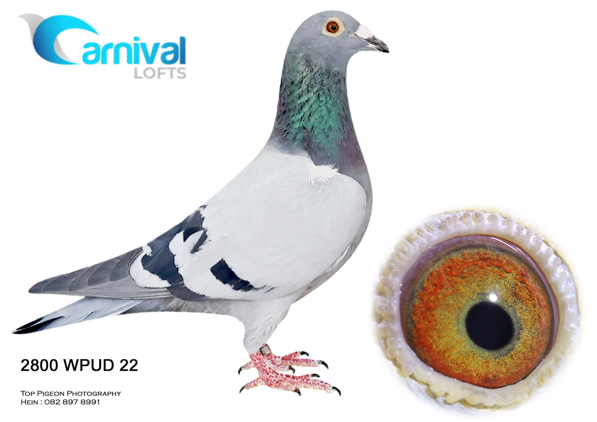 .LOT 9 R500 BARGAIN BOX – -MARNES NEL-WPUD 22 2800 – Bred out of the ...