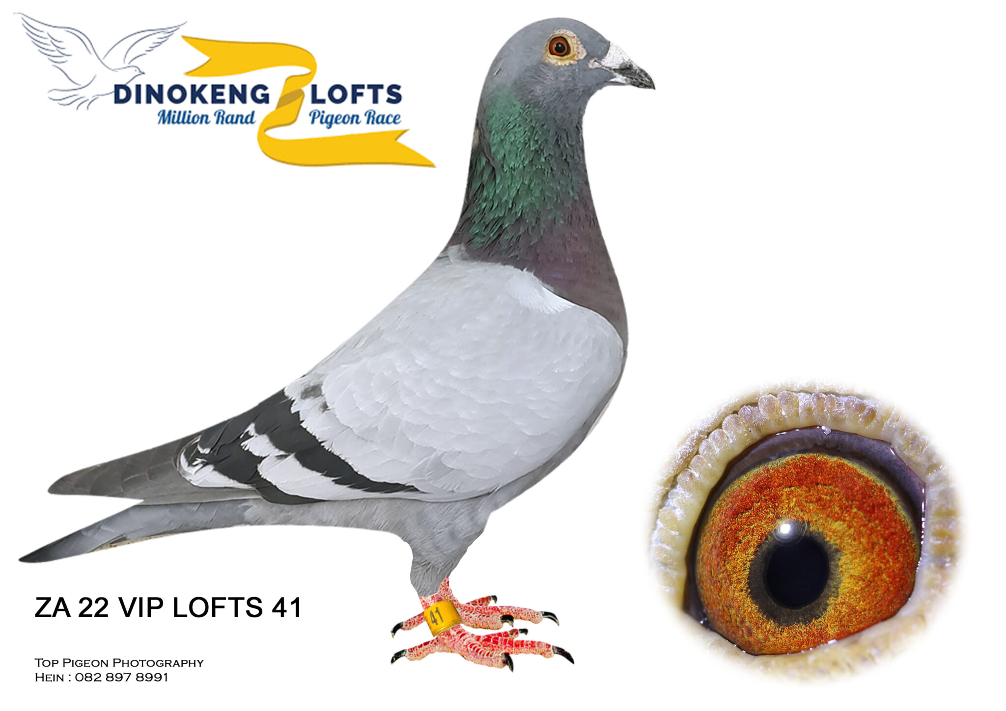 Lot 92 Dinokeng Auction 3-SPKAV SYNDICATE-ZA VIP LOFTS 22 41 – SIRE : ZA 17 NKMR 1704 “KRUGER ...