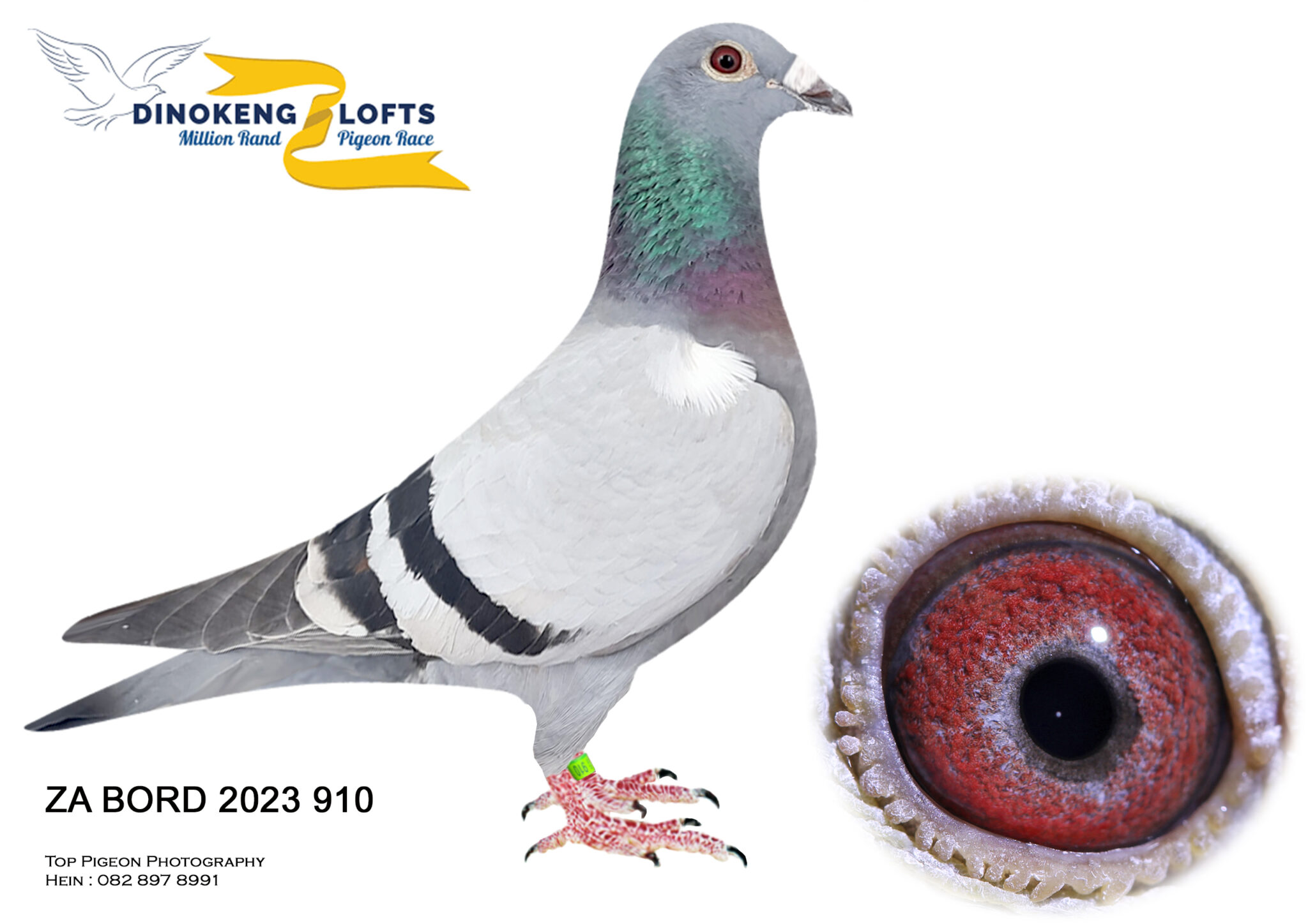 Lot 33 Dinokeng Auction 3-KEI LOFTS-ZA BORD 23 910 BBAR – ZA 15 TRPFD 20047 . SUPERCRACK ...