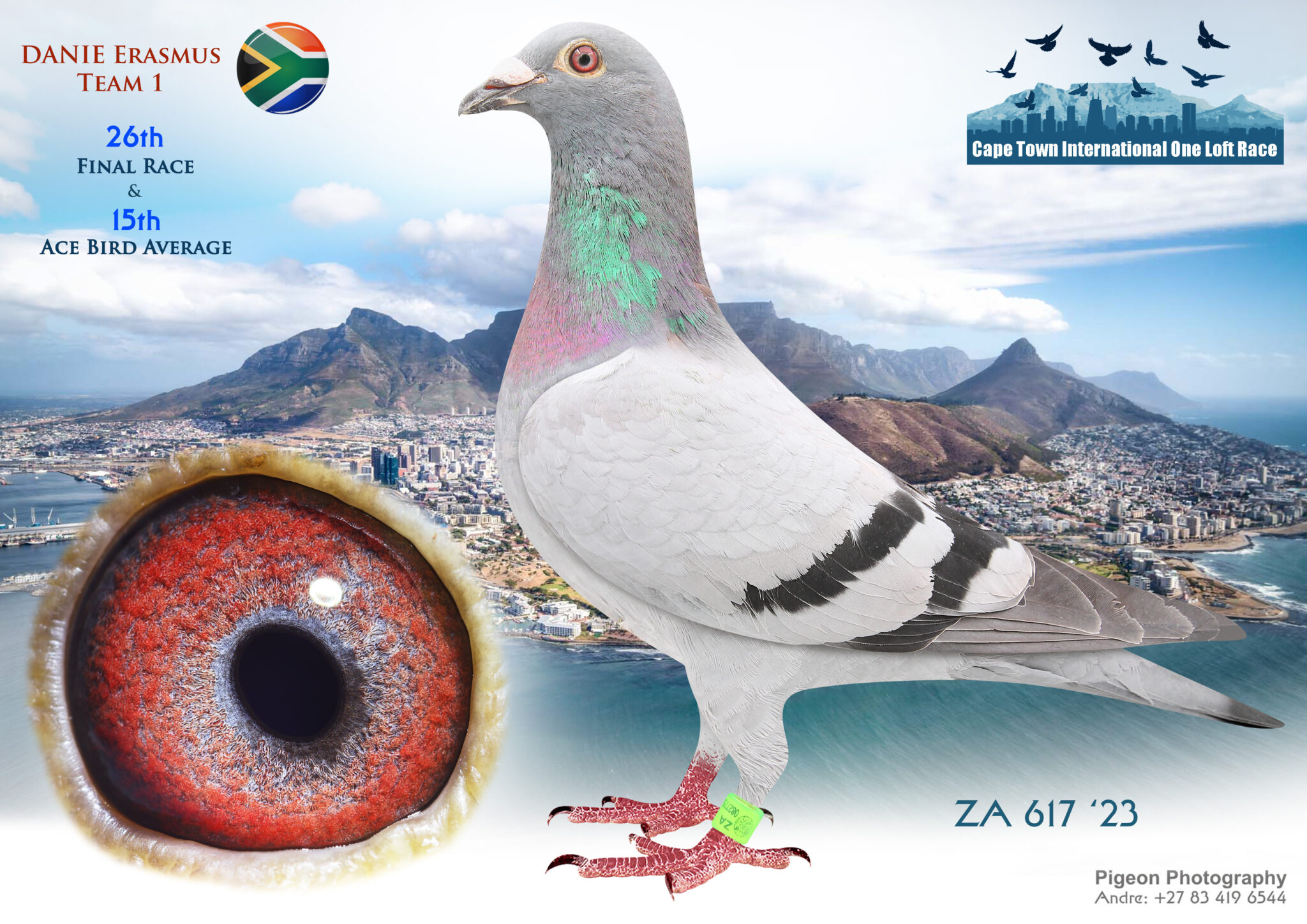 LOT 26 CAPETOWN INTERNATIONAL OLR AUCTION 2-ZA 23 617 – DANIE ERASMUS – 26TH FINAL————–SIRE:ZA ...