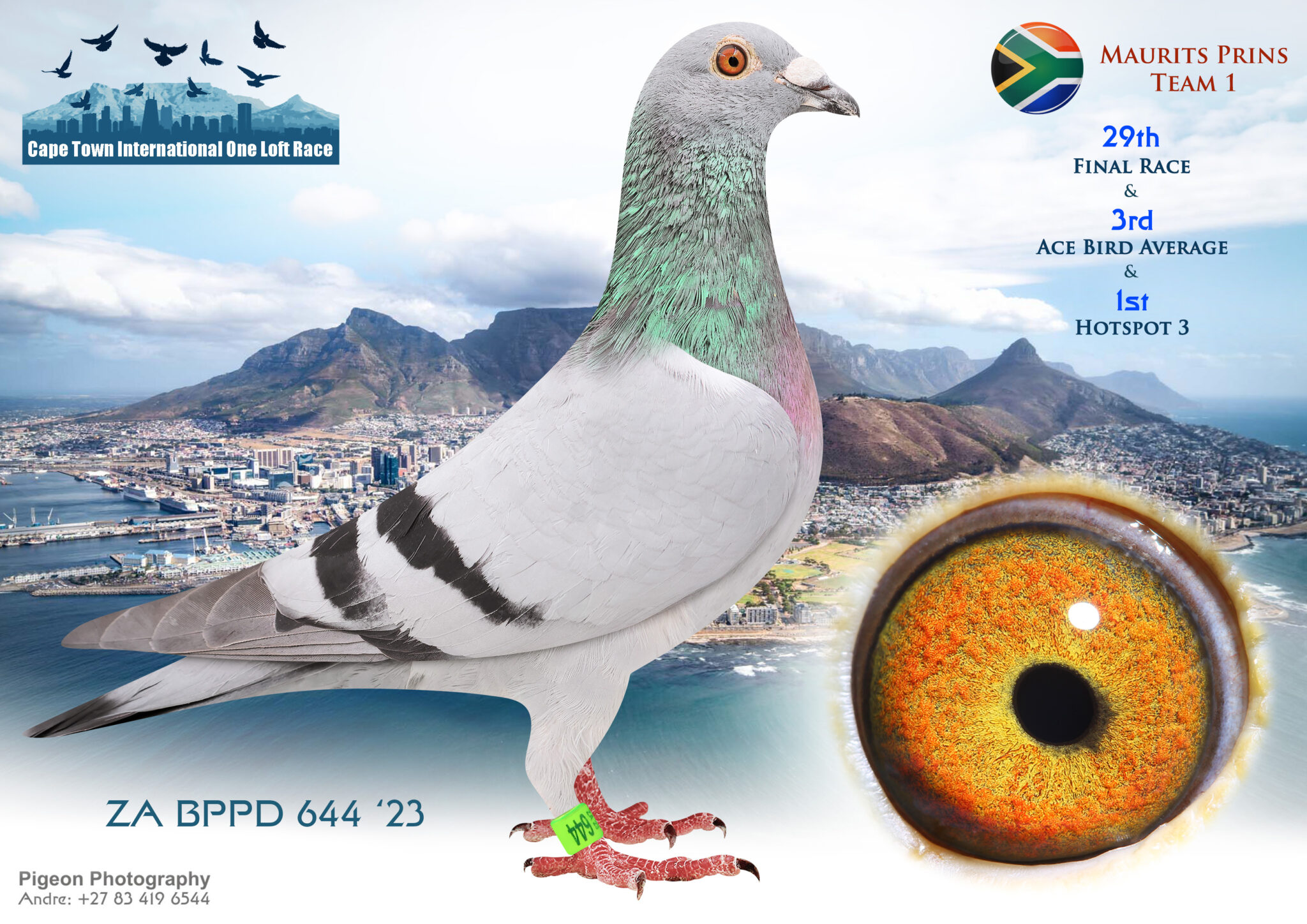 LOT 29 CAPETOWN INTERNATIONAL OLR AUCTION 2-ZA 23 BPPD 644 – M PRINS – 29th Final 3rd HS3…1st ...