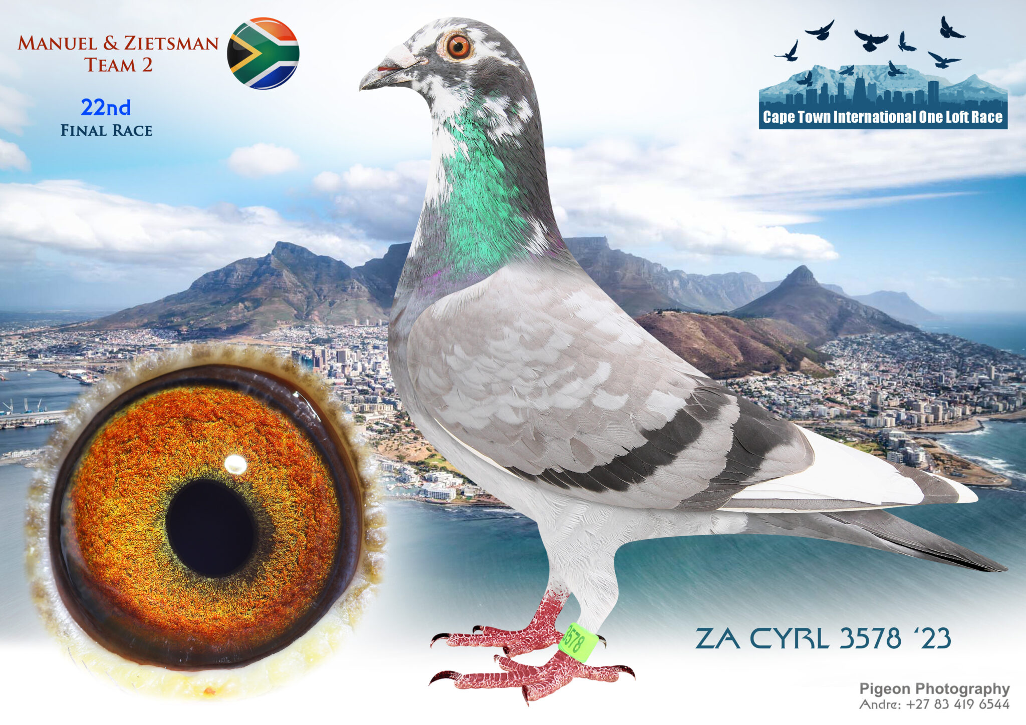 LOT 22 CAPETOWN INTERNATIONAL OLR AUCTION 2-ZA 23 CYRL 3578 – ENTERED BY MANUAL & ZIETSMAN BRED ...