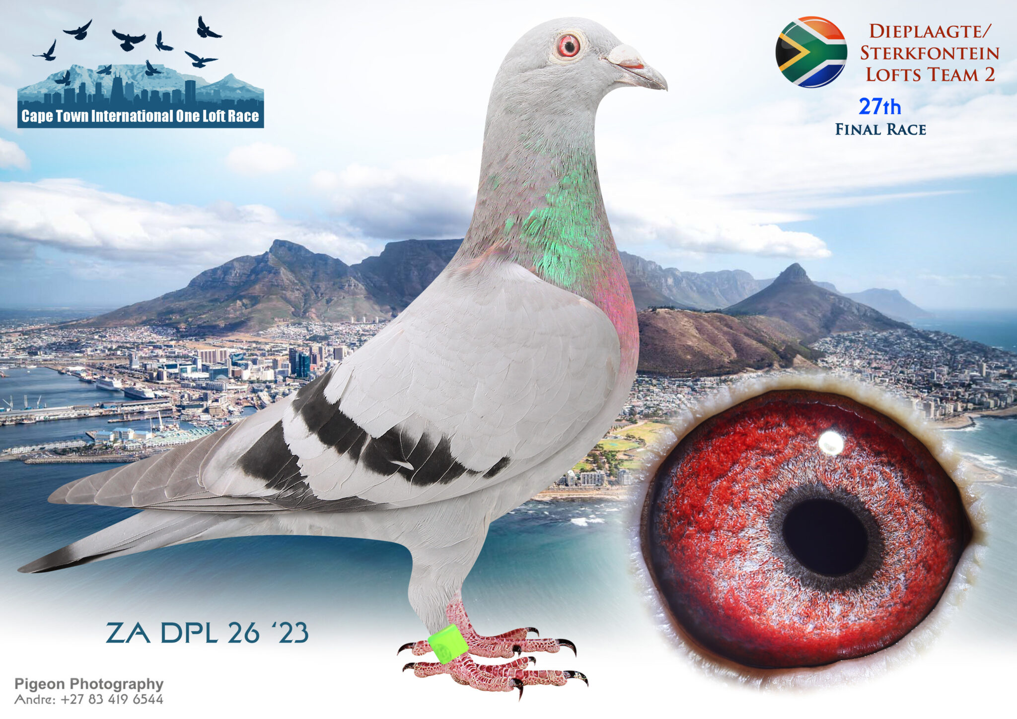 LOT 27 CAPETOWN INTERNATIONAL OLR AUCTION 1-ZA-DPL-23-26 – DIEPLAAGTE-STERKFONTEIN – 27TH FINAL ...