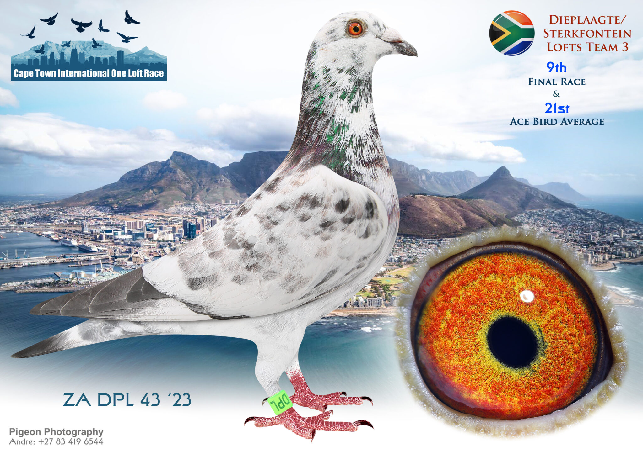 .LOT 9 CAPETOWN INTERNATIONAL OLR AUCTION 1 -ZA-DPL-23-43 – DIEPLAAGTE STERKFONTEIN – 9TH FINAL ...
