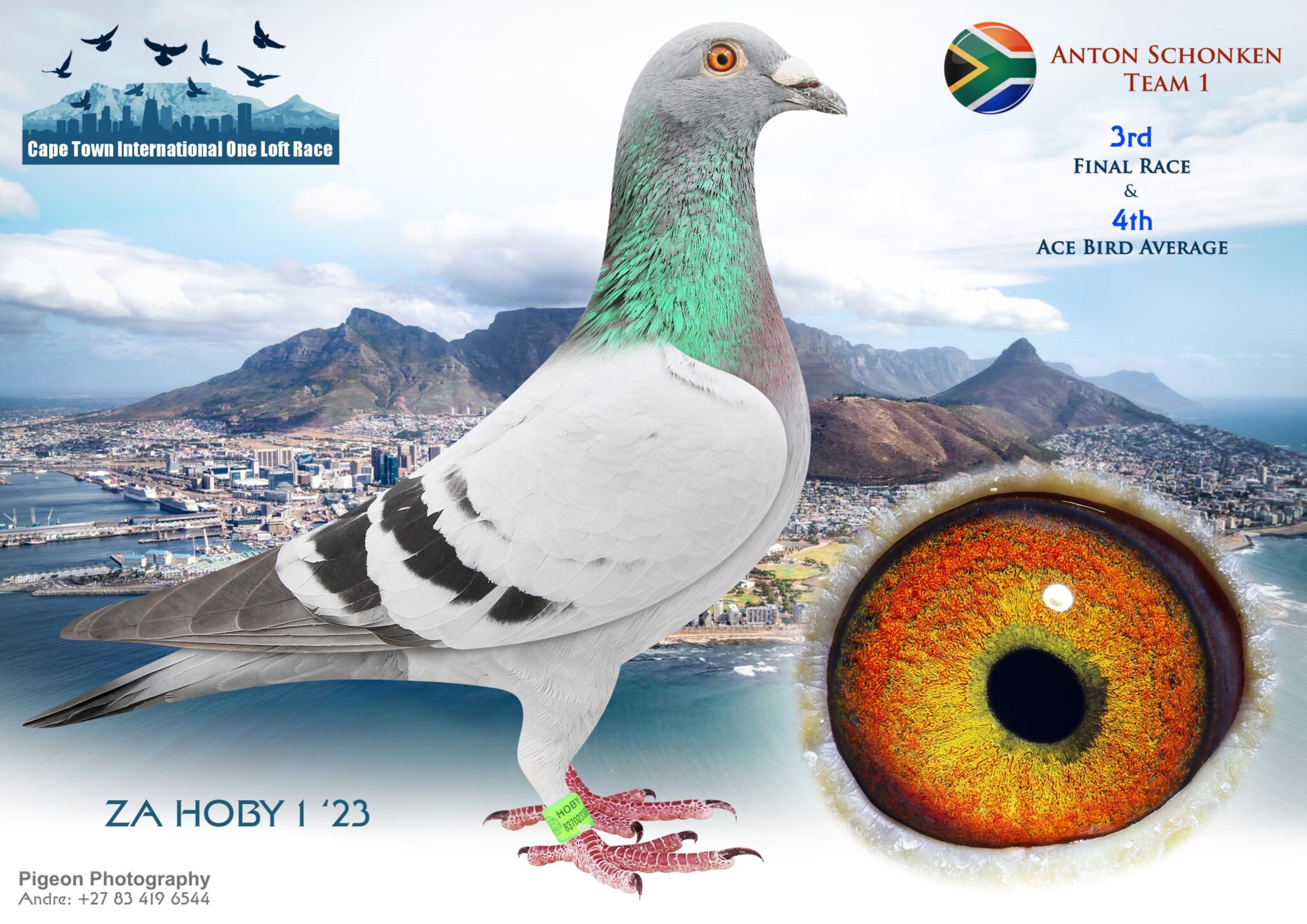.LOT 3 CAPETOWN INTERNATIONAL OLR AUCTION 2 -ZA-HOBY-23-1 – ANTON ...