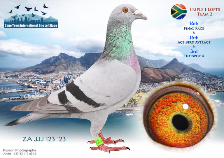 LOT 16 CAPETOWN INTERNATIONAL OLR AUCTION 1-ZA-JJJ-23-123 – TRIPLE J LOFTS – 16TH FINAL RACE ...