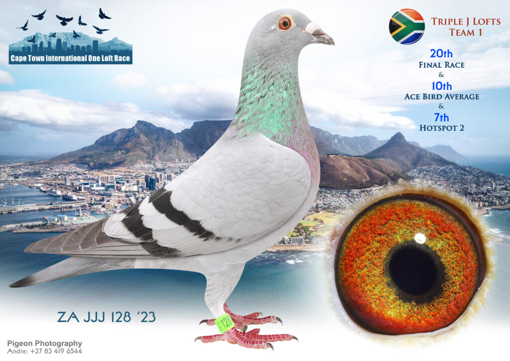 LOT 20 CAPETOWN INTERNATIONAL OLR AUCTION 2-ZA 23 JJJ 128 – TRIPLE J LOFTS – 20th Final, 26th ...