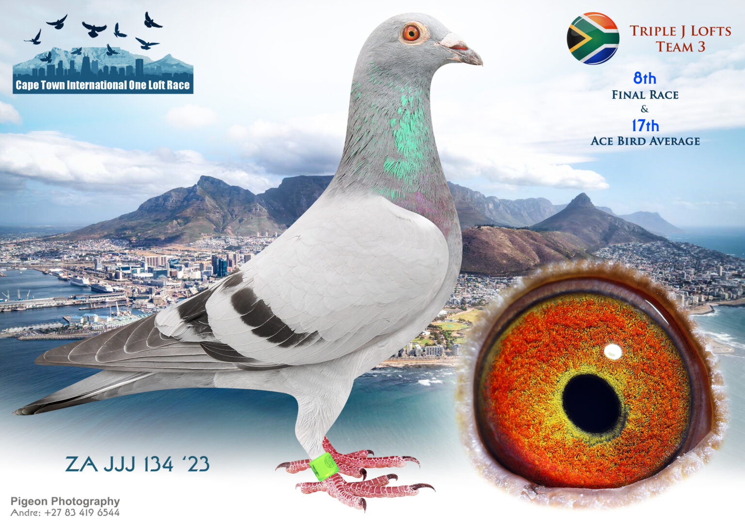 .LOT 8 CAPETOWN INTERNATIONAL OLR AUCTION 2 -ZA-JJJ-23-134 -TRIPLE J LOFTS – 8TH FINAL RACE ...