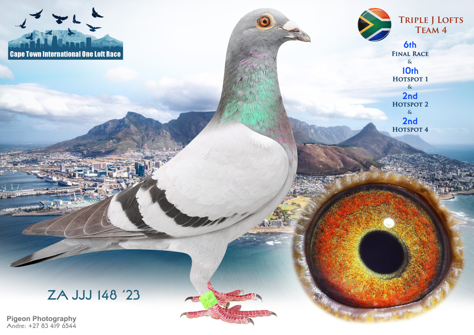 .LOT 6 CAPETOWN INTERNATIONAL OLR AUCTION 2 -ZA-JJJ-23-148 -TRIPLE J LOFTS ——*****STAR OF THE ...