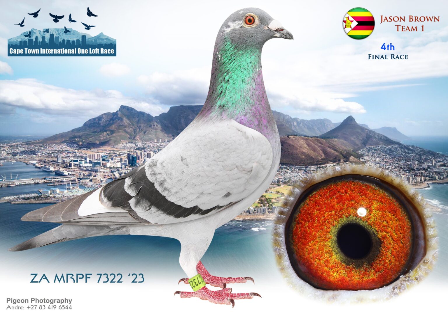 .LOT 4 CAPETOWN INTERNATIONAL OLR AUCTION 2 -ZW-MRPF-23-7322 – JASON ...