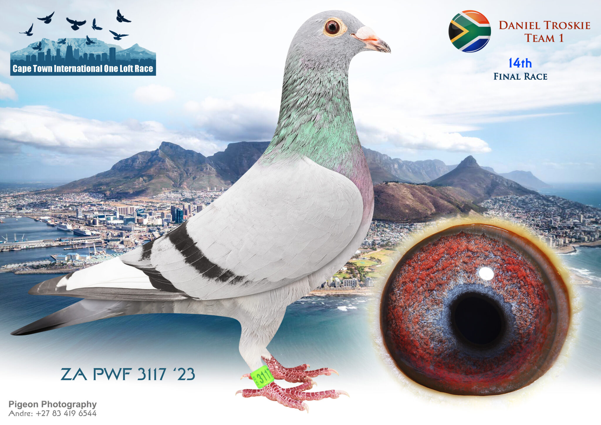 LOT 14 CAPETOWN INTERNATIONAL OLR AUCTION 1 -ZA-PWF-23-3117 – DANIEL TROSKIE – 14TH FINAL AND ...