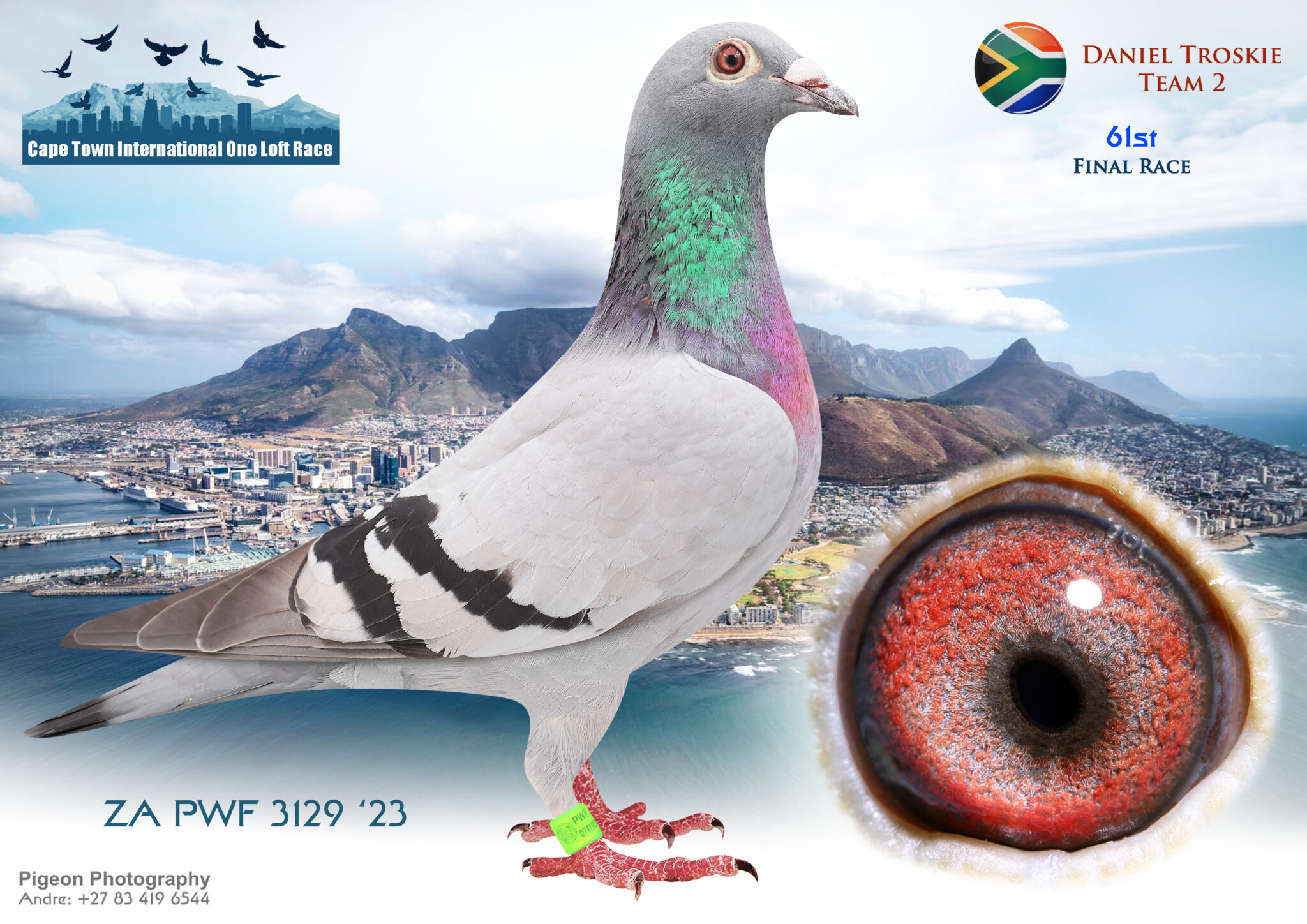 LOT 61 CAPETOWN INTERNATIONAL OLR AUCTION 1-ZA-PWF-23-3129 – DANIEL ...