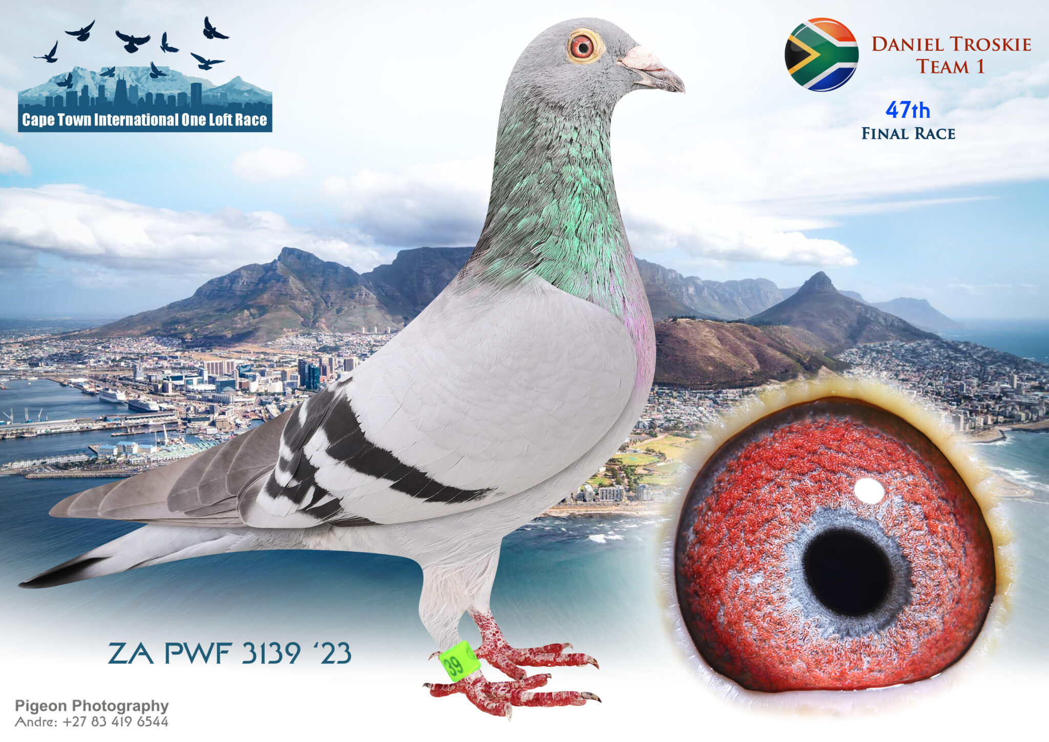 LOT 47 CAPETOWN INTERNATIONAL OLR AUCTION 1-ZA-PWF-23-3139 – DANIEL ...