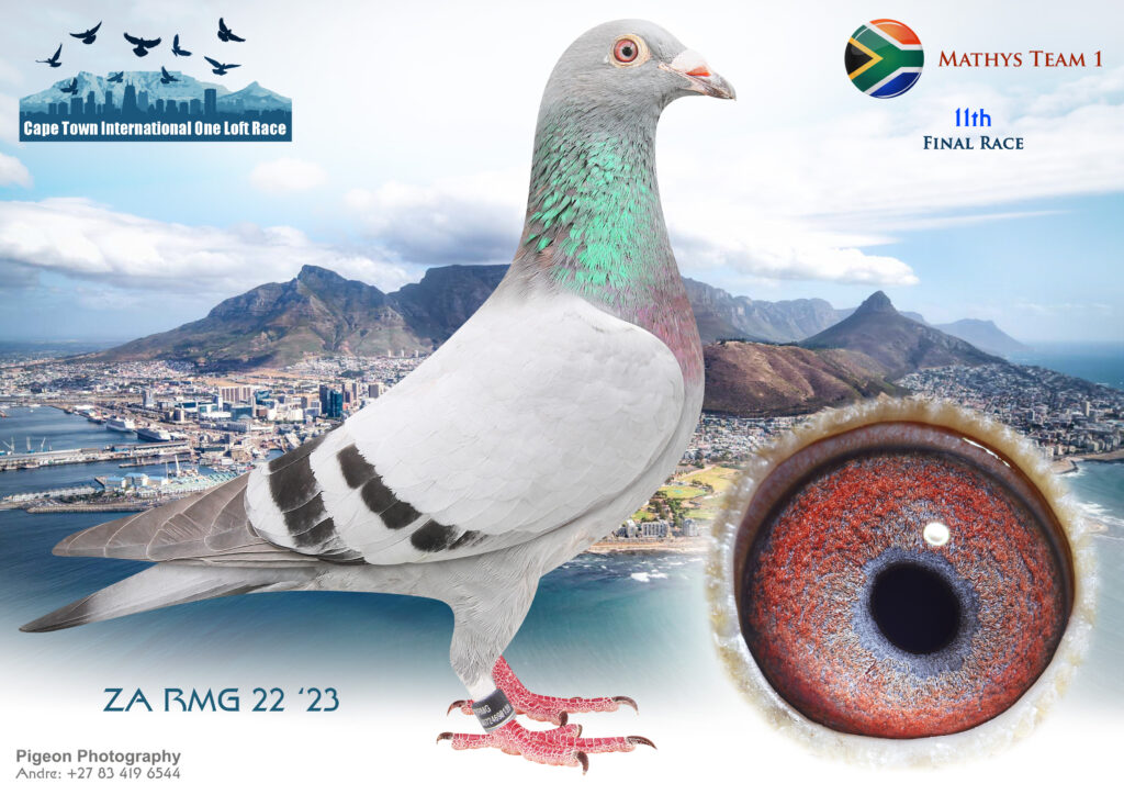 LOT 11 CAPETOWN INTERNATIONAL OLR AUCTION 1-ZA-RMG-23-22 – ACTIVATED BY ...