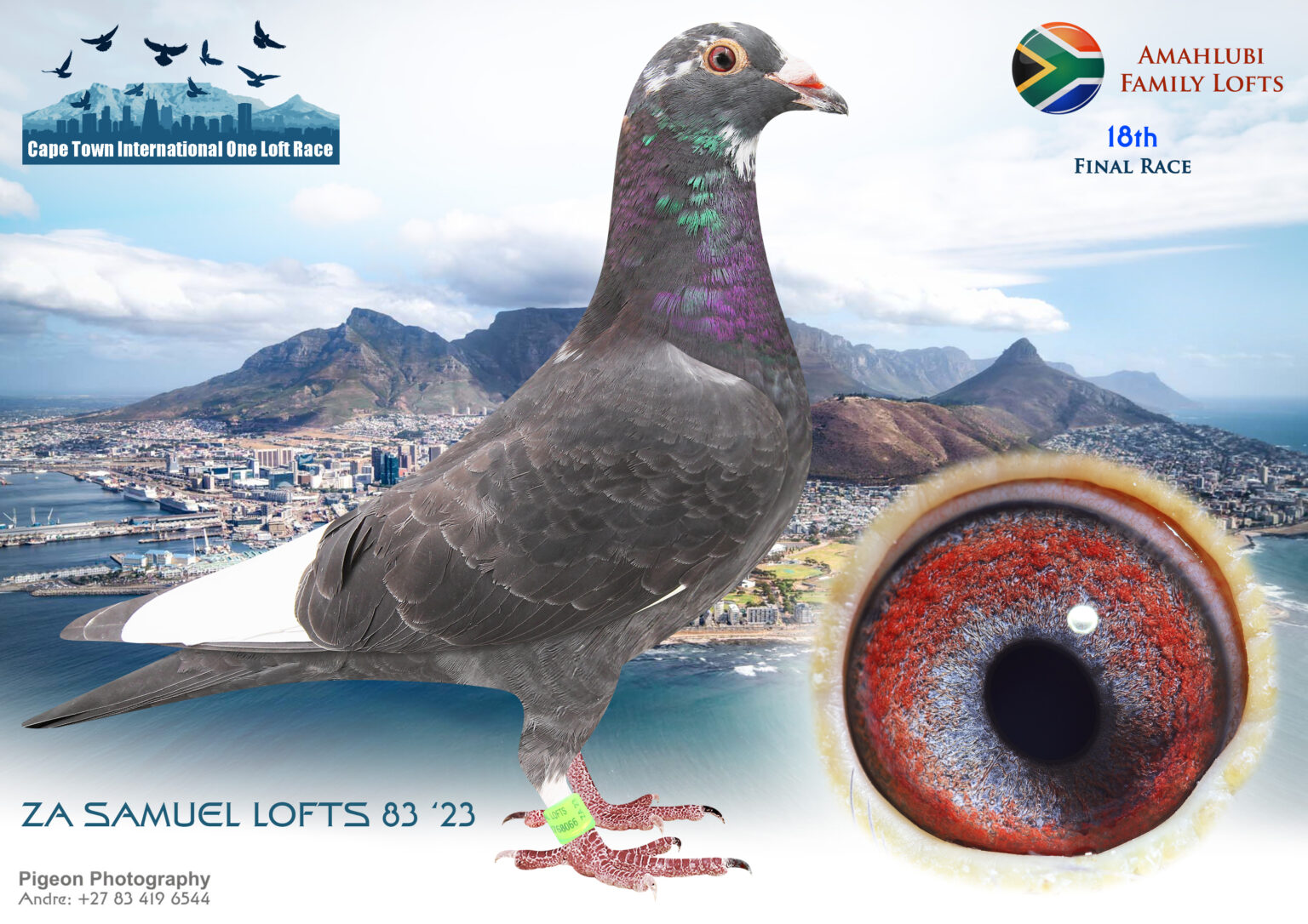 LOT 18 CAPETOWN INTERNATIONAL OLR AUCTION 1 -ZA-SAMUEL LOFT-23-83 – SAMUEL LOFTS – 18TH FINAL ...