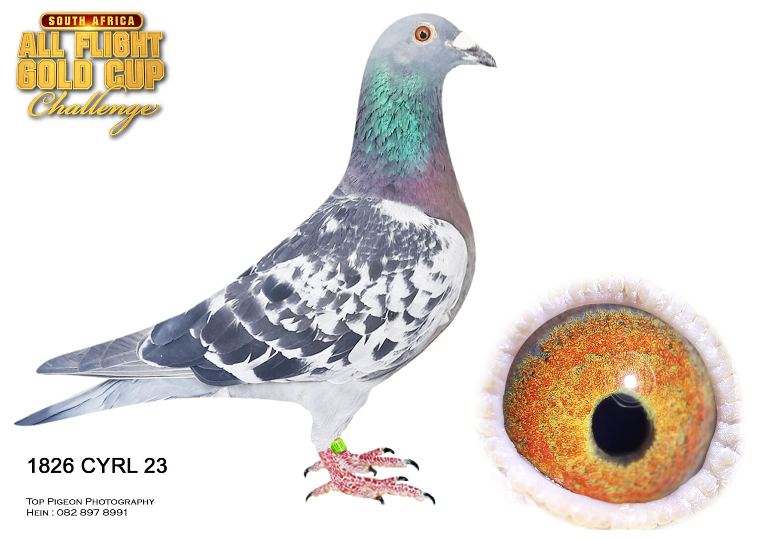 .LOT 5 CARNIVAL LOFTS OLR SUMMER AUCTION 1 -UMBERTI LOFTS – CYRL 23 1826 – BC—————14TH FINAL ...