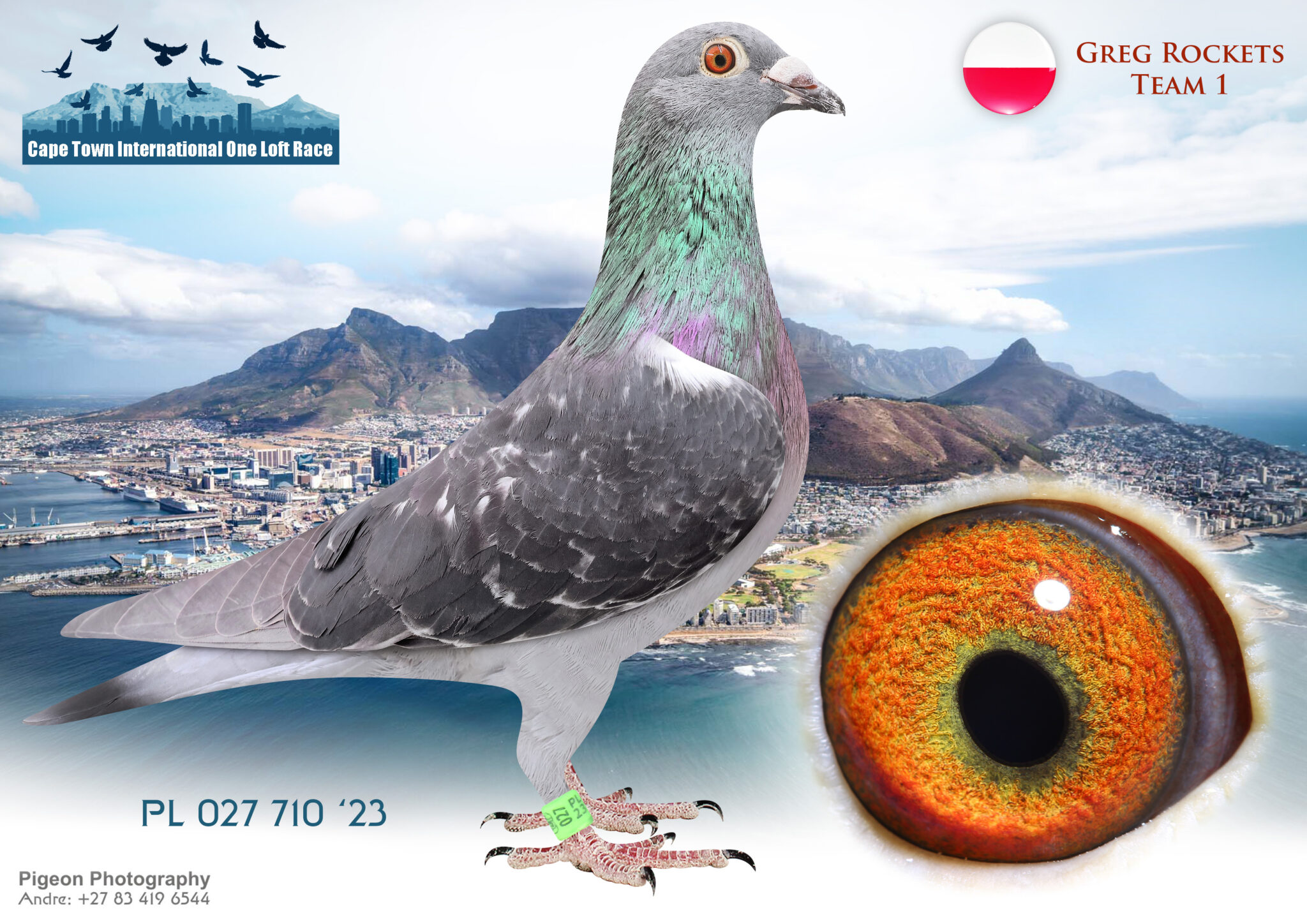 z..LOT 122 CAPETOWN INTERNATIONAL OLR AUCTION 2 -PL-027-710-23 – GREG ...