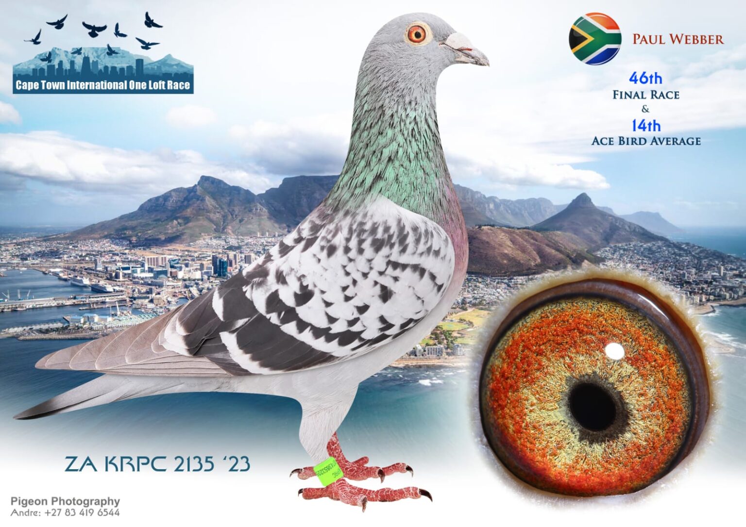 LOT 46 CAPETOWN INTERNATIONAL OLR AUCTION 1-ZA-KPRC-23-2135 – PAUL ...