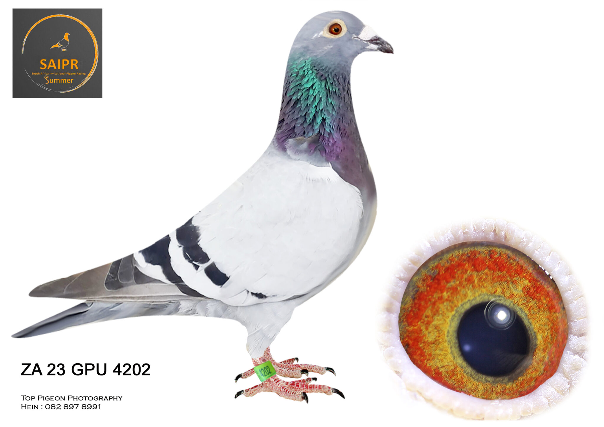 LOT 24 SAIPR SUMMER OLR AUCTION 1 -ZA 23 GPU 4202 – FAMOUS BLUE LOFTS ...