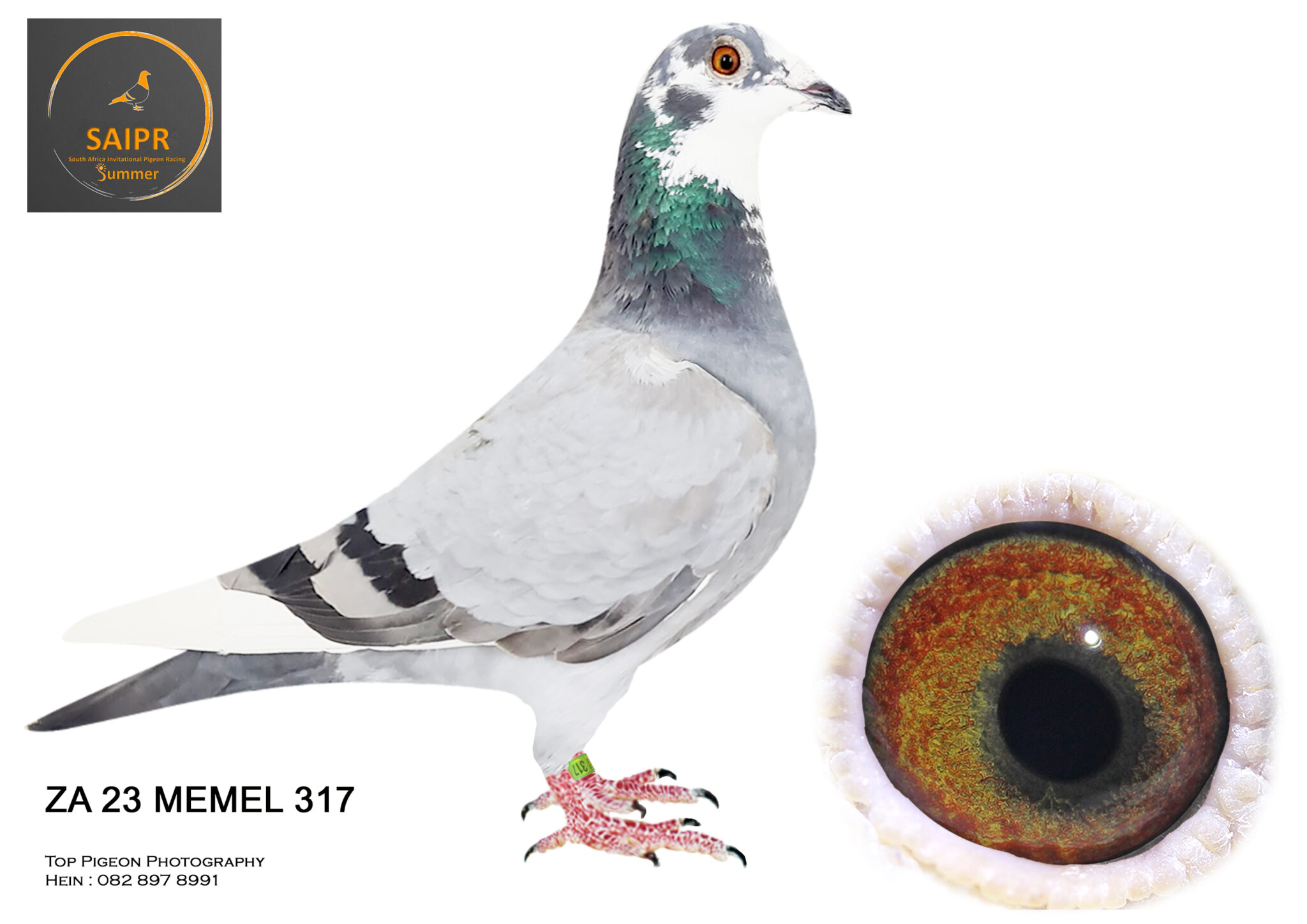 .LOT 3 SAIPR SUMMER OLR AUCTION 2 -ZA 23 MEMEL 317 (BRED BY HERMAN GELDENHUYS) – CANNISTRARO ...