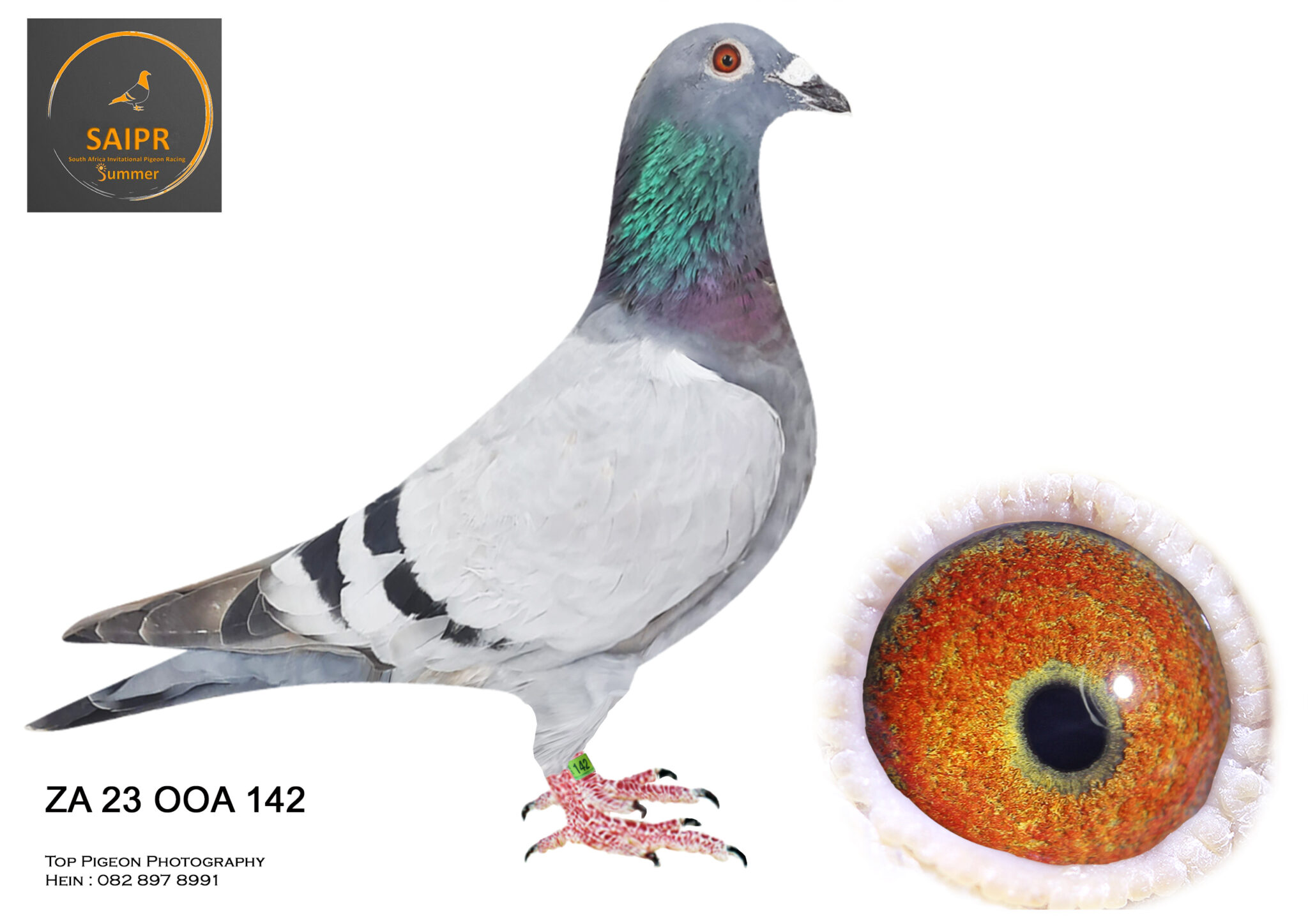 LOT 64 SAIPR SUMMER OLR AUCTION 2 -ZA 23 OOA 142 – OOA & RVVA – 15TH HOTSPOT 1 (EQUAL WINNER ...