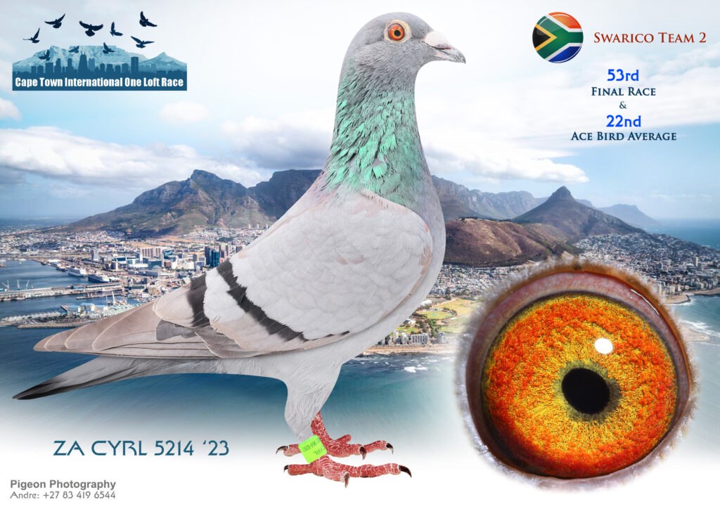 LOT 53 CAPETOWN INTERNATIONAL OLR AUCTION 1 -ZA 23 CYRL 5214 ACTIVATED BY PETRUS HARMZEN AND ...