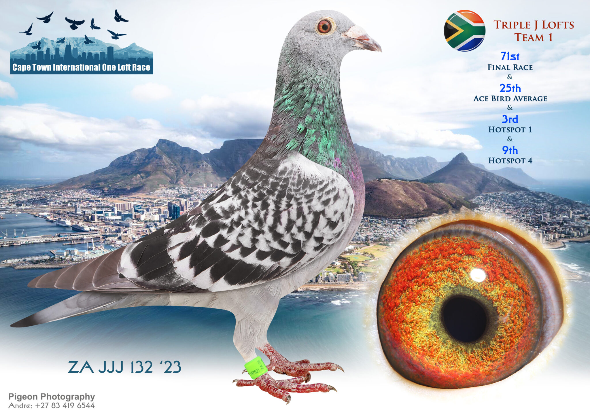 LOT 71 CAPETOWN INTERNATIONAL OLR AUCTION 2 -ZA 23 JJJ 132 – TRIPLE J LOFTS——–SIRE:‘GHOST II’ ZA ...