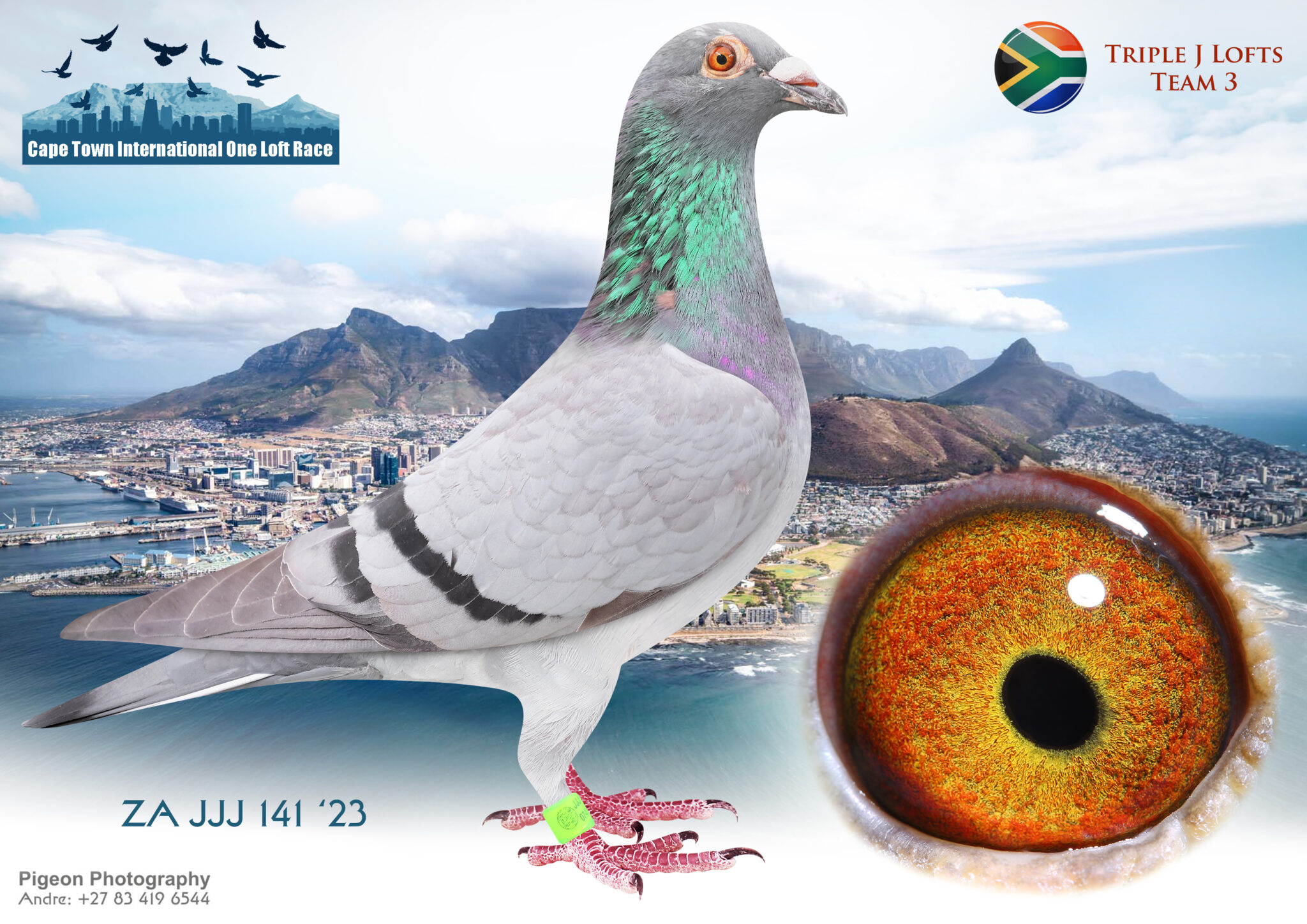 z..LOT 118 CAPETOWN INTERNATIONAL OLR AUCTION 2 -ZA 23 JJJ 141 – TRIPLE J LOFTS———–Sire ...