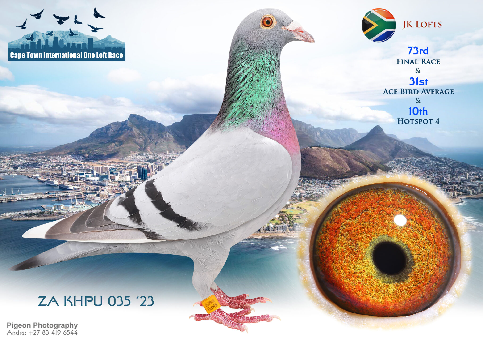 LOT 73 CAPETOWN INTERNATIONAL OLR AUCTION 2 -ZA 23 KHPU 035 – JK LOFTS———-SIRE:”PERFECT LASS ...