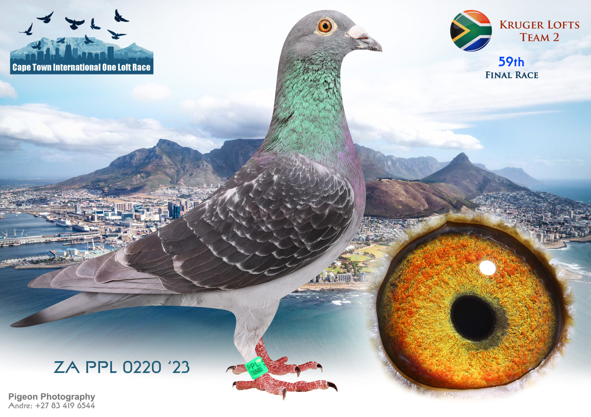 LOT 59 CAPETOWN INTERNATIONAL OLR AUCTION 2 -ZA 23 PPL 0220 – KRUGER ...