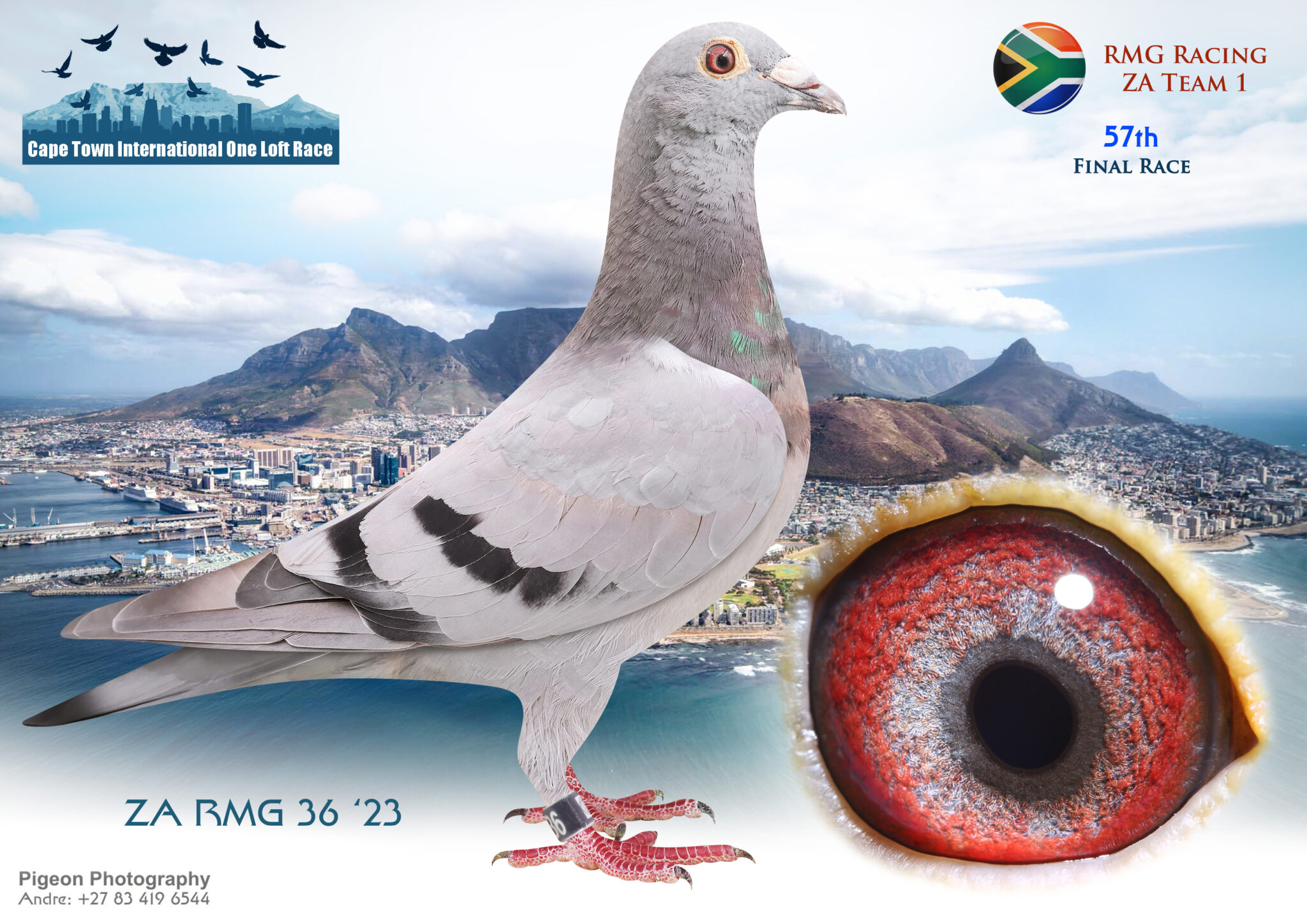 LOT 57 CAPETOWN INTERNATIONAL OLR AUCTION 2 -ZA 23 RMG 36 – RMG RACING ...